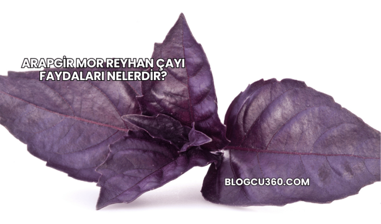 Arapgir Mor Reyhan Çayı Faydaları Nelerdir? - Blogcu360